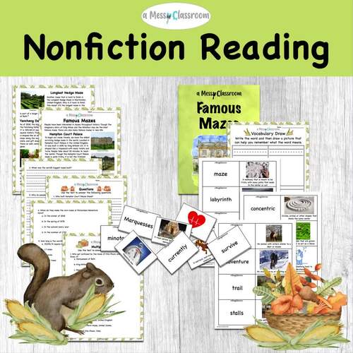 2nd Grade Famous Mazes Nonfiction Text, Geography Math, & Text Features ...