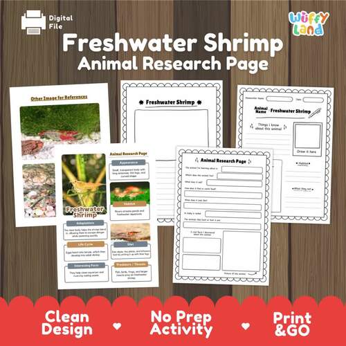 Freshwater Shrimp Animal Research Page | Science Literacy | Life Cycle ...