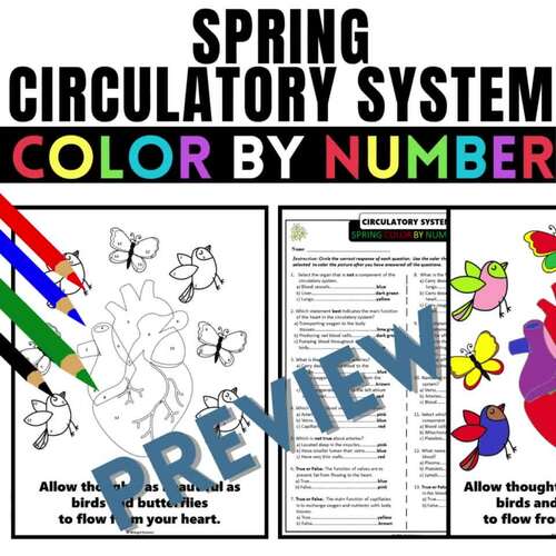 Spring Color By Number Circulatory System Parts and Function Activities ...