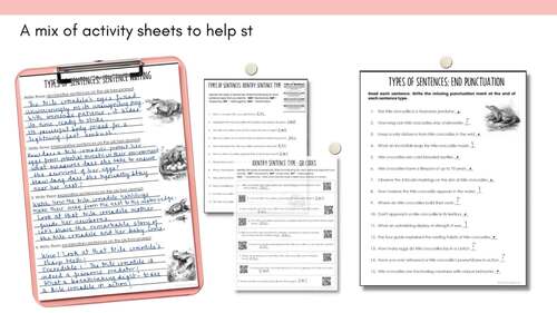 Types of Sentences Worksheets PowerPoint Task Cards Interactive ...