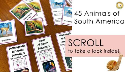 45 Animals of South America Montessori 3 Part Cards & Information