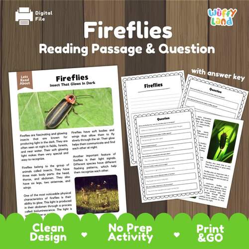 Fireflies Reading Passage | Nonfiction Comprehension Questions Science ...