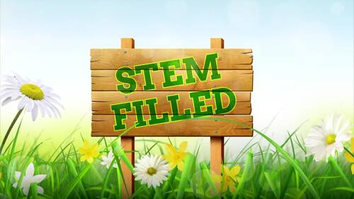 SPRING BREAKOUTS AND ACTIVITIES - ALL 3D DIGITAL by K's Digital Store