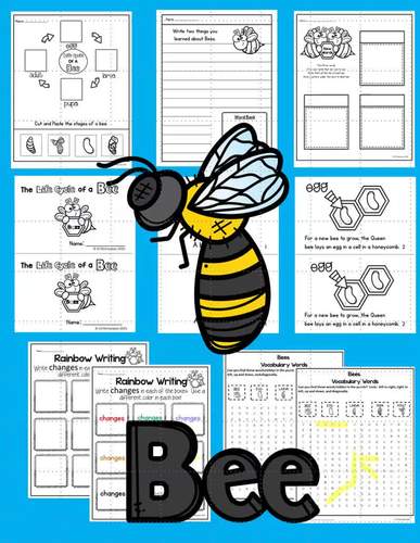 Life Cycle of a Bee Early Reader Kindergarten First Second Grade ESL Spring