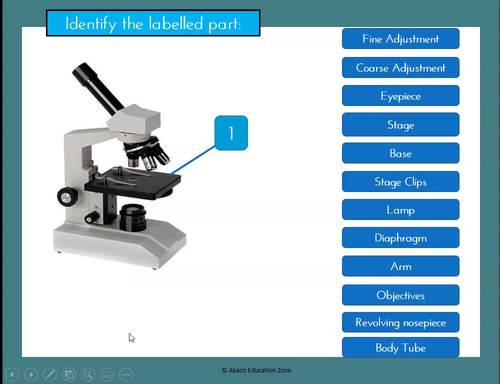 Parts of a Microscope Interactive Quiz + Self-Grading by Abaco ...