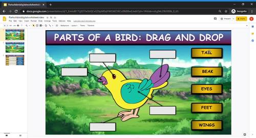 Parts of a Bird: Digital Worksheets: Drag & Drop: Distance Learning