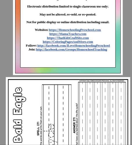Bald Eagle Life Cycle Activity Sheets by HomeschoolingPreschool | TPT