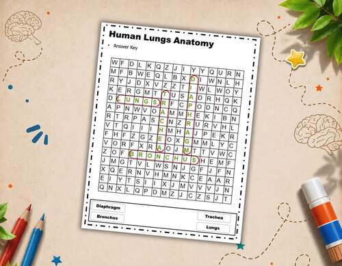 Human Lungs Anatomy Craft | Cut & Paste Activity+Word Search|Human Body ...