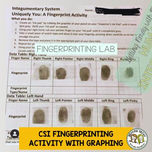 Integumentary System | Human Body Systems | Anatomy | CSI ...
