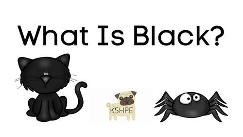 What Is Black? Identifying Objects by Color, Video and SLIDES | TPT