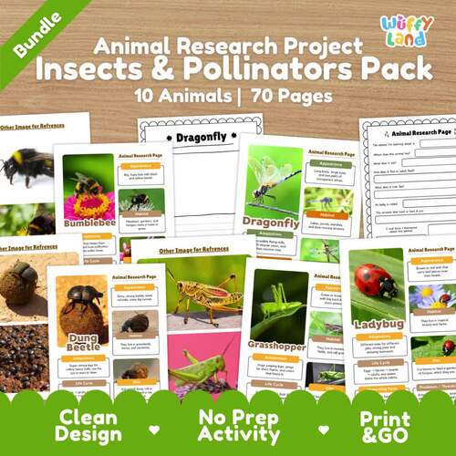 Insect Research Project Bundle | Pollinators Science Activity | Spring ...