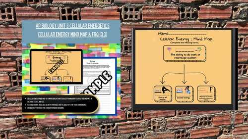 AP Biology UNIT 3 Cellular Energetics 3.3 Cellular Energy Map & FRQ ...