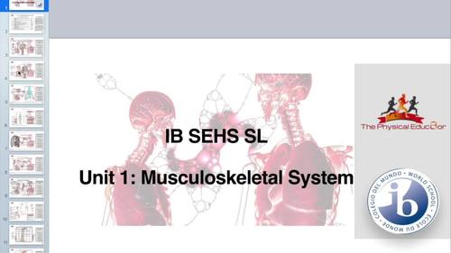 IB SEHS SL: Musculoskeletal System: Topic 1 by Nick Makin | TPT