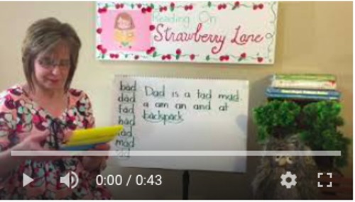 VIDEO: Reading: Set 1. Lesson 3. Word Family Pattern -ad | TPT