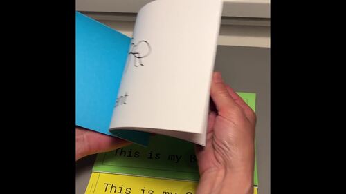 Beginning Alphabet Readers Complete (A-Z) by April's Learning Lagoon