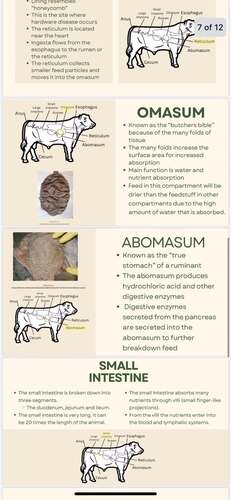 Ruminant Digestion {COMPLETE UNIT} by Ag Curriculum by Katie | TPT