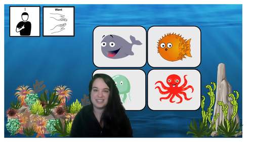 Sea Animal Deep Breathing: Green Screen Virtual Background Activity