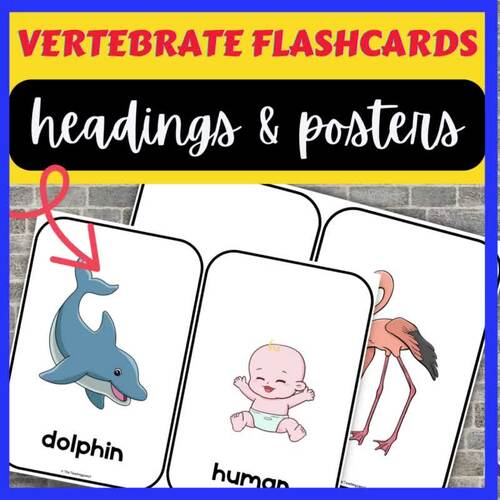 Vertebrates flashcards headings coloring posters Kindergarten to 4th class