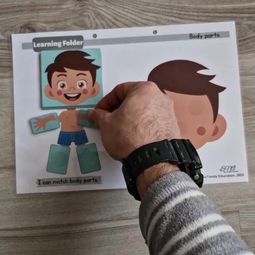 Body Parts/Toddler Preschool Learning File Folder/Game/Activity/Busy ...