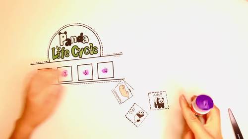 ANIMAL Lifecycle Bundle 2 | Animal Science Units l Life Stages of Animals