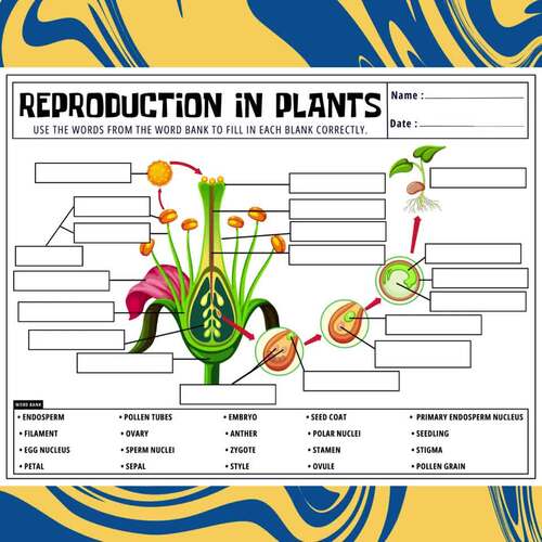 Plant Reproduction Diagram | Flower Structure, Pollination & Seed Formation
