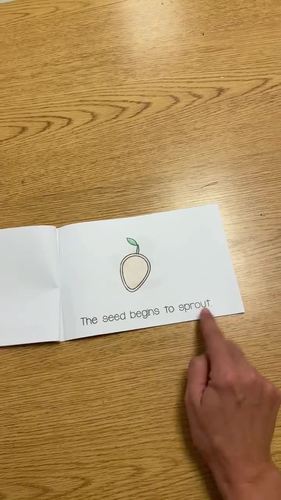 The Life Cycle of a Pumpkin Emergent Reader for Guided Reading | TPT