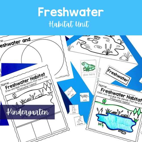 Freshwater Animal Habitats Kindergarten First Grade, Habitat Diorama ...