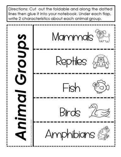 coloring pages animal classification quiz