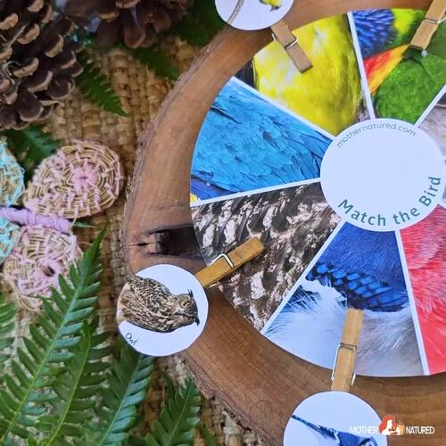 Bird Matching Activity | Bird Game | Bird Pattern Activity | Preschool