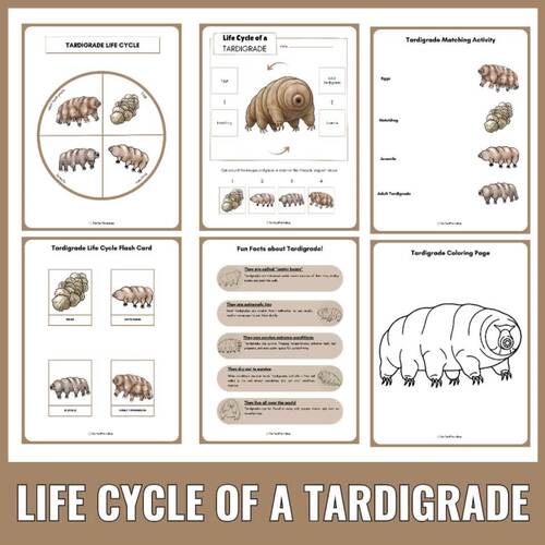 Tardigrade Life Cycle: Water Bear Animal Science Unit Study & Fun Facts