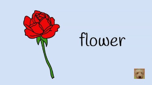 Distance Learning: Basic English Vocabulary | Video #1 | Text | TPT