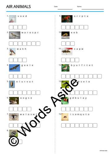 Vocabulary Puzzle Writing Worksheets Crossword Word Search Anagram AIR ...