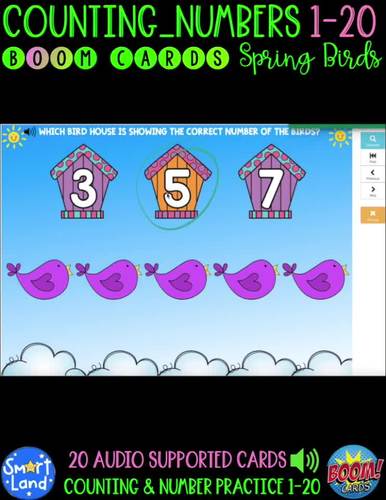 Counting and Number Sense practice 1-20 Boom Cards™ | Spring Birds