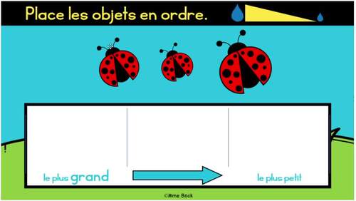 J'organise des objets par longueur: Google Slides™ by Mme Bock | TPT