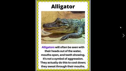 Let's learn about Reptiles & Amphibians . 16 Flash cards with fun Facts ...