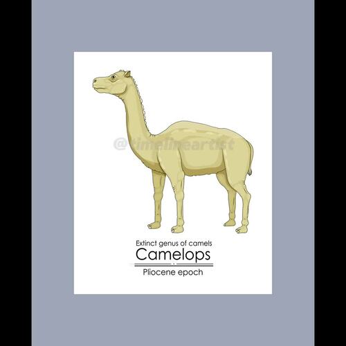 Pliocene Epoch Colorful Bundle: Camelops, Giraffa Sivalensis ...