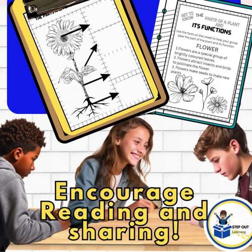 Parts of a plant worksheet - function of plant parts activity 3rd grade ...