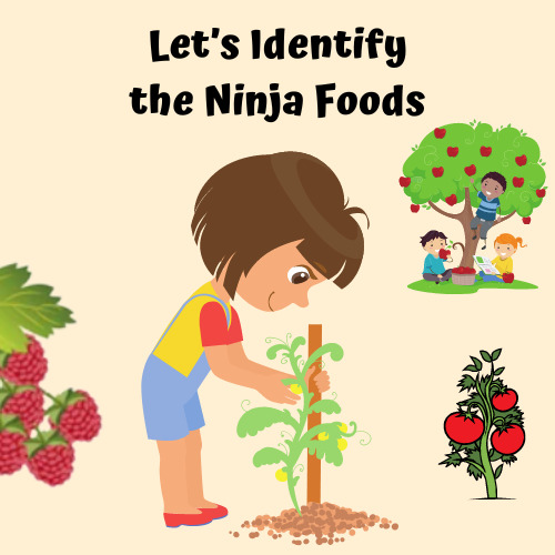 Let's Identify the Ninja Foods #7 by How to Feed Your Ninjas | TPT