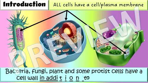 Cell Membrane Structure, Function & Transport Complete Lesson Bundle