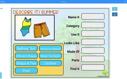 Describing Summer Vocabulary Speech Therapy Activity with Boom Cards