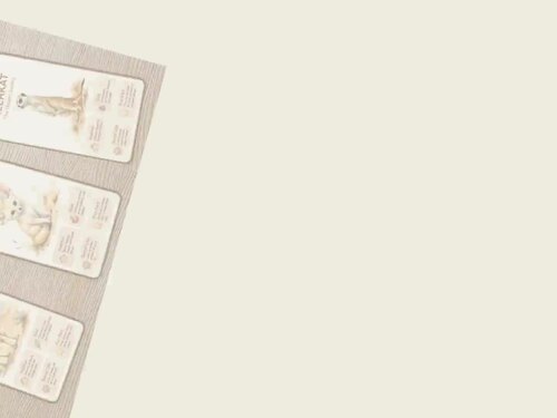 Animal Kingdom Flashcards Bundle | 10 Printable Animal Sets Classroom ...