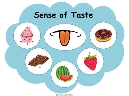 5 Senses Sorting Activity, Science for Preschool, PreK, Kindergarten ...