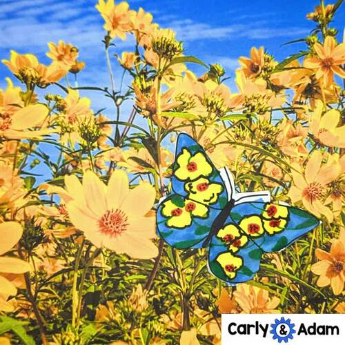 Monarch Butterfly Camouflage STEM Challenge Animal Adaptations Activity