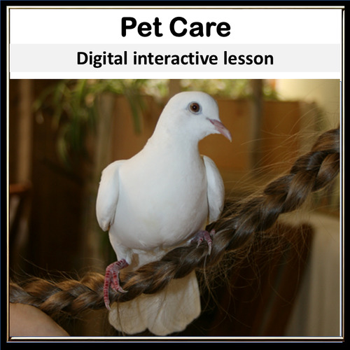 Pet Care Interactive Digital Resource No Prep by Nature Online | TPT