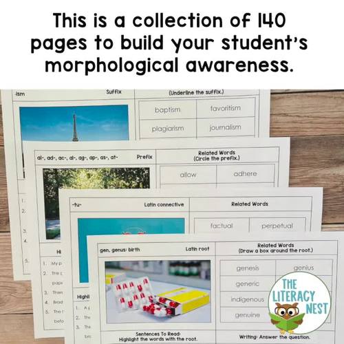 Morphology Activities Prefixes, Suffixes, Roots, Greek Forms Orton ...