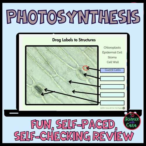 Photosynthesis Boom Cards High School by Science with Cara | TPT