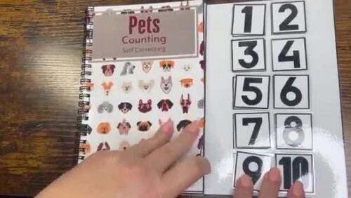 Pets Counting Self Correcting Adapted Book Real Pictures / Pets Numbers ...