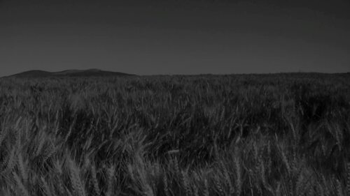 Jewish History: Freedom Fighters of NILI Documentary (Whole School License)