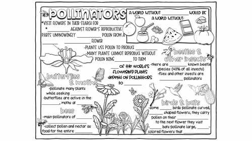 Pollinators Doodle Notes & Quiz + PowerPoint | Differentiated Life Science