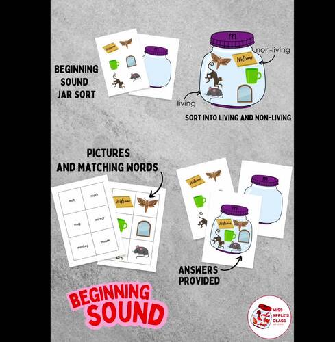 Sorting Initial Sound Set 1 msta | Bundle | Beginning Sound Activities